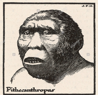 manusia purba ~ Bacalah